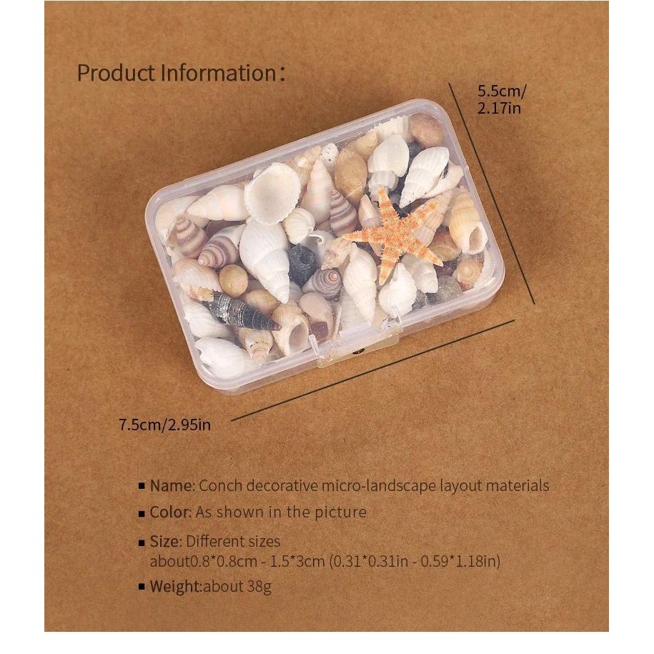 JIANWU Vintage Different Shapes Conch Micro-landscape Layout Collage ...