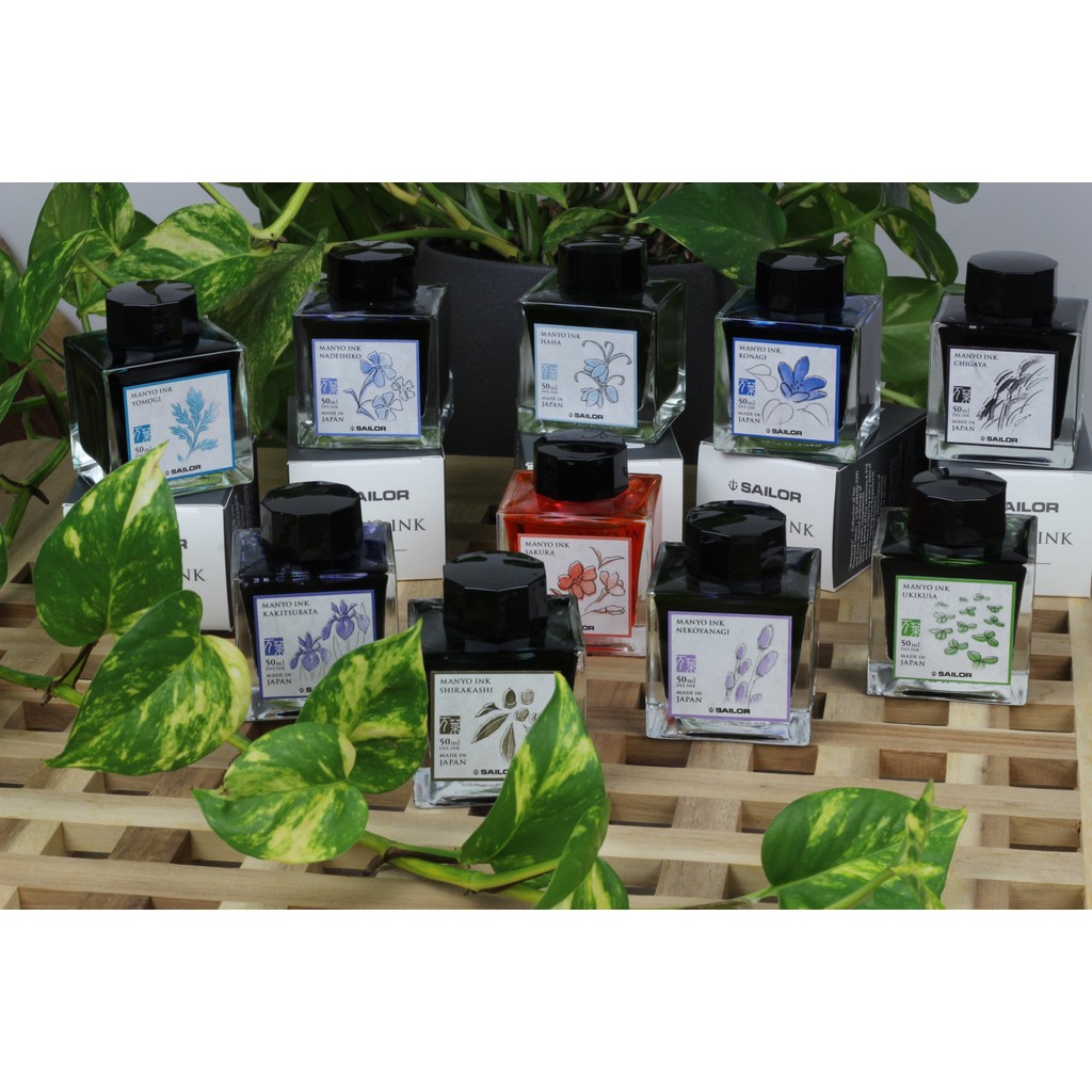 SAILOR Ink Bottle Manyo 50ml 2022 New Color Hinoki | Shopee Malaysia