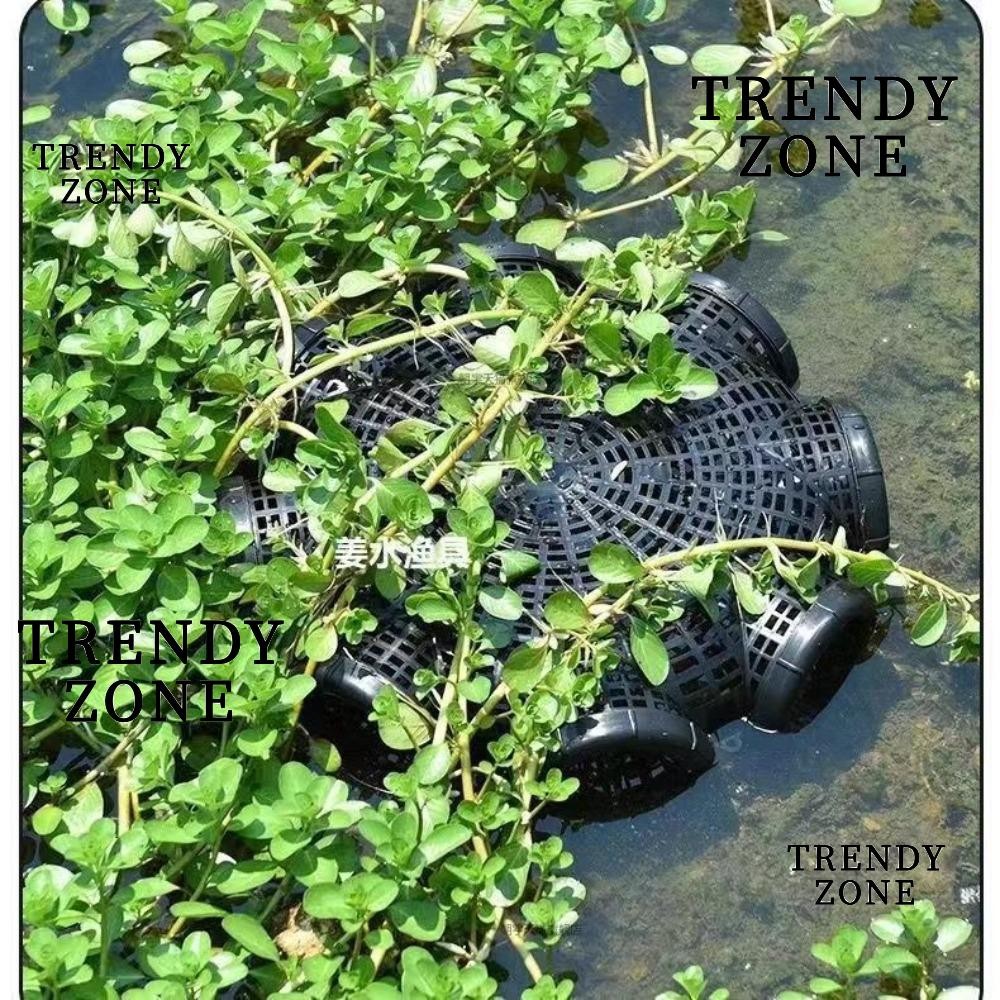 TRENDYZONE Fishing Pot, 8-hole / 6-hole Loach Trap Fish Cage, 2024 ...