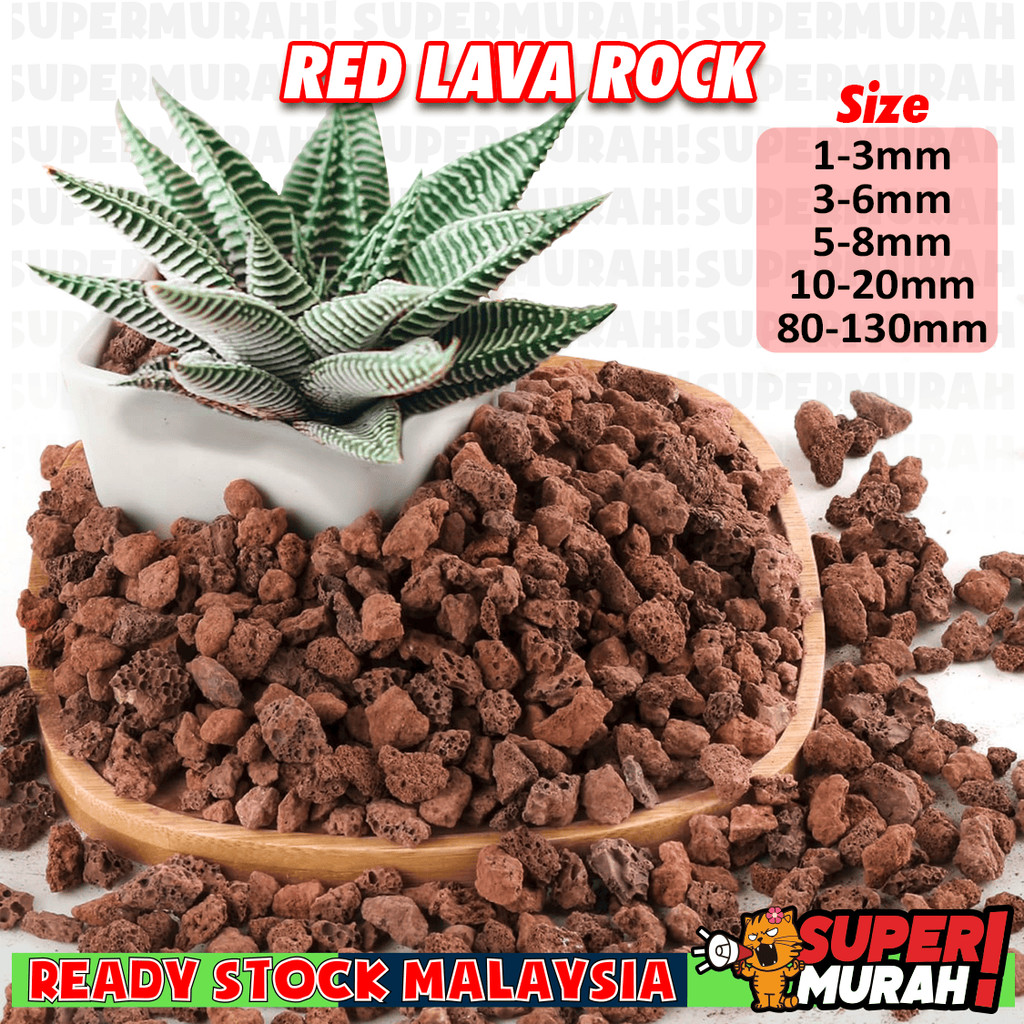 Red Lava Rock Batu Pasir MALANG Bio Filter Media Succulent Volcanic ...