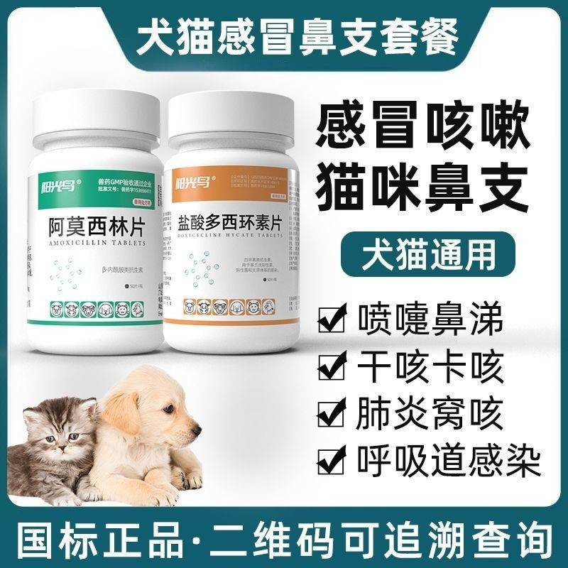 Spot Goods (goods in stock) Cat Cold Medicine Docile Tablets Cat Nose ...