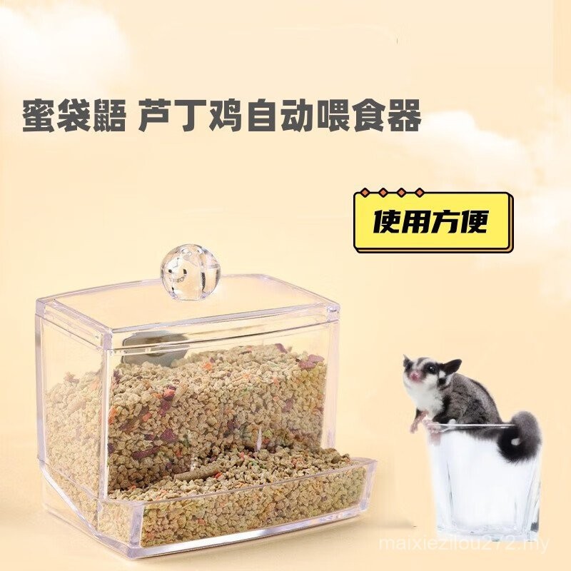 Honey Glider Hamster Luding Chicken Feeder Automatic Chicken Food Box ...