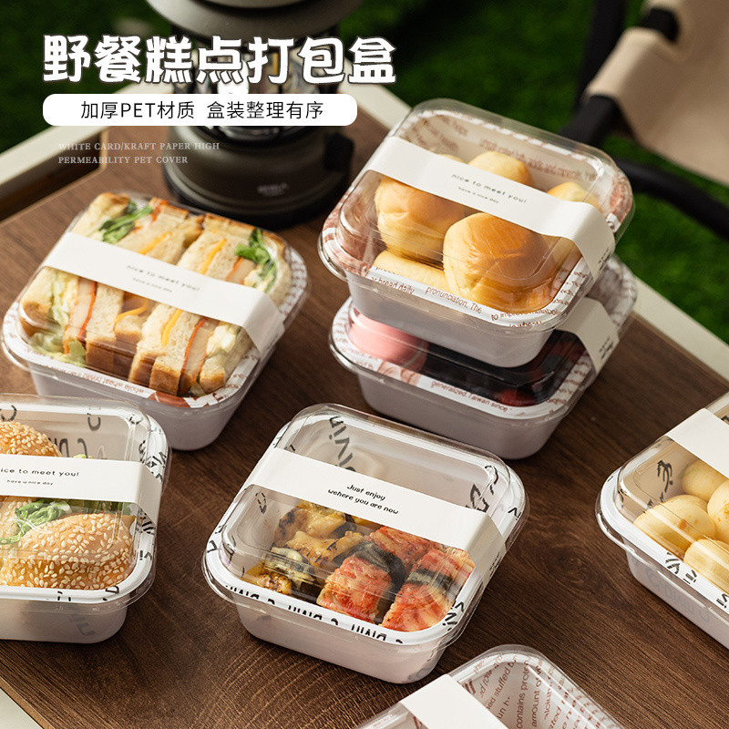 Picnic Packaging Box Sushi Fruit Dessert Cake Bento Camping Spring Tour ...
