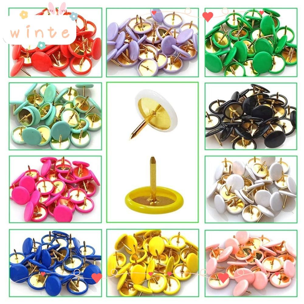 WINTE 100Pcs Round Push Pins, Tacks Point Notice Board Tacks, Thumb ...