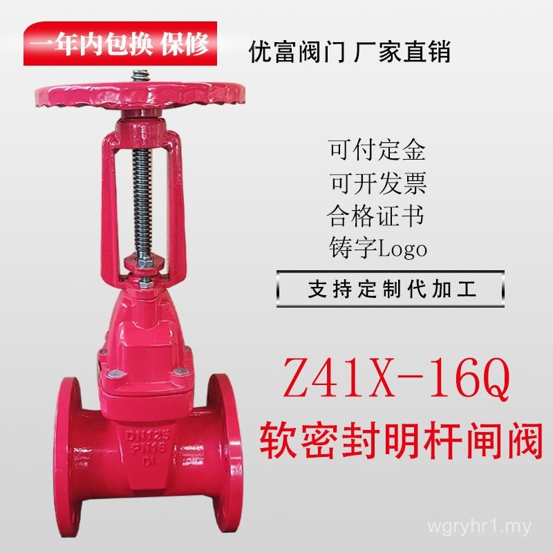 Pengeluar Tersuai Pemadam Kebakaran Standard Kebangsaan Z41X Permukaan Dipasang Injap Pintu ...