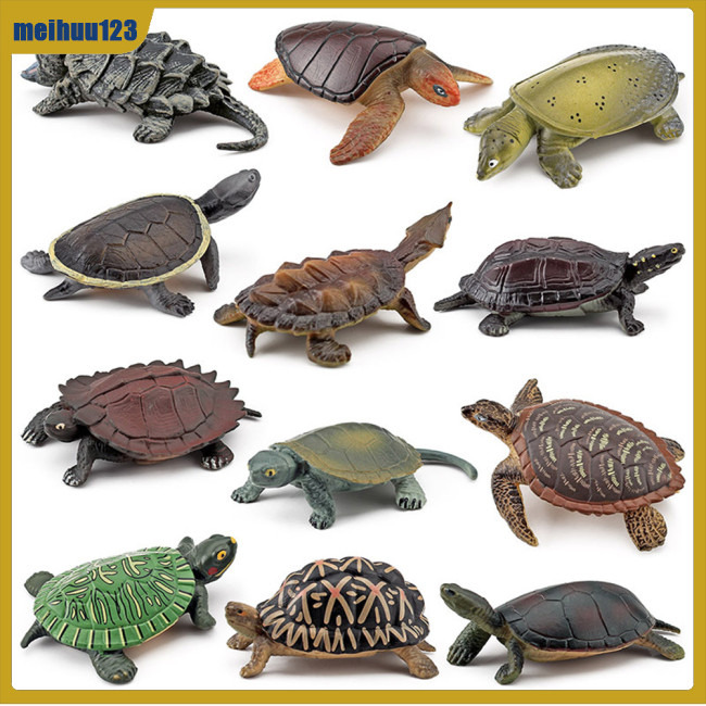 FNC Realistic Turtle Action Figure Simulation Animals Figurines Ocean ...