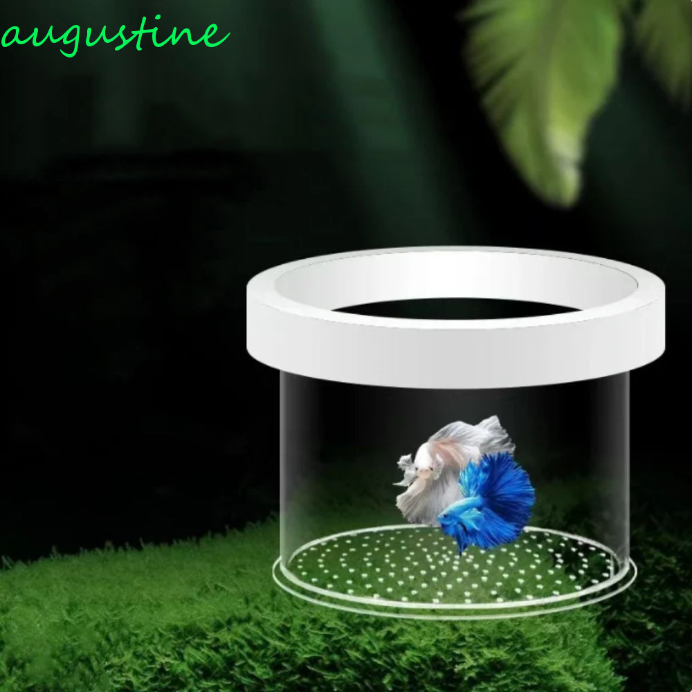 AUGUSTINE Floating Hatching Box, with Lid Acrylic Fish Breeding ...