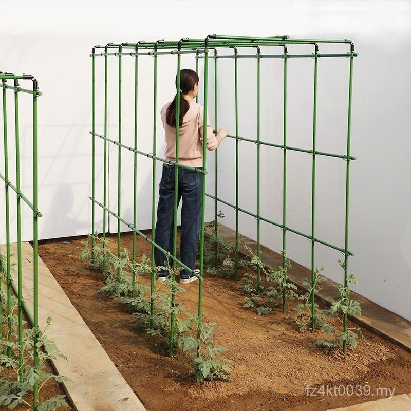 Support Rod Bean Horn Melon Shed Climbing Rack Watermelon Cucumber ...