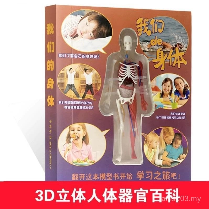 Human Organ Toys Explore Human Encyclopedia Bone Structure Books Whole ...