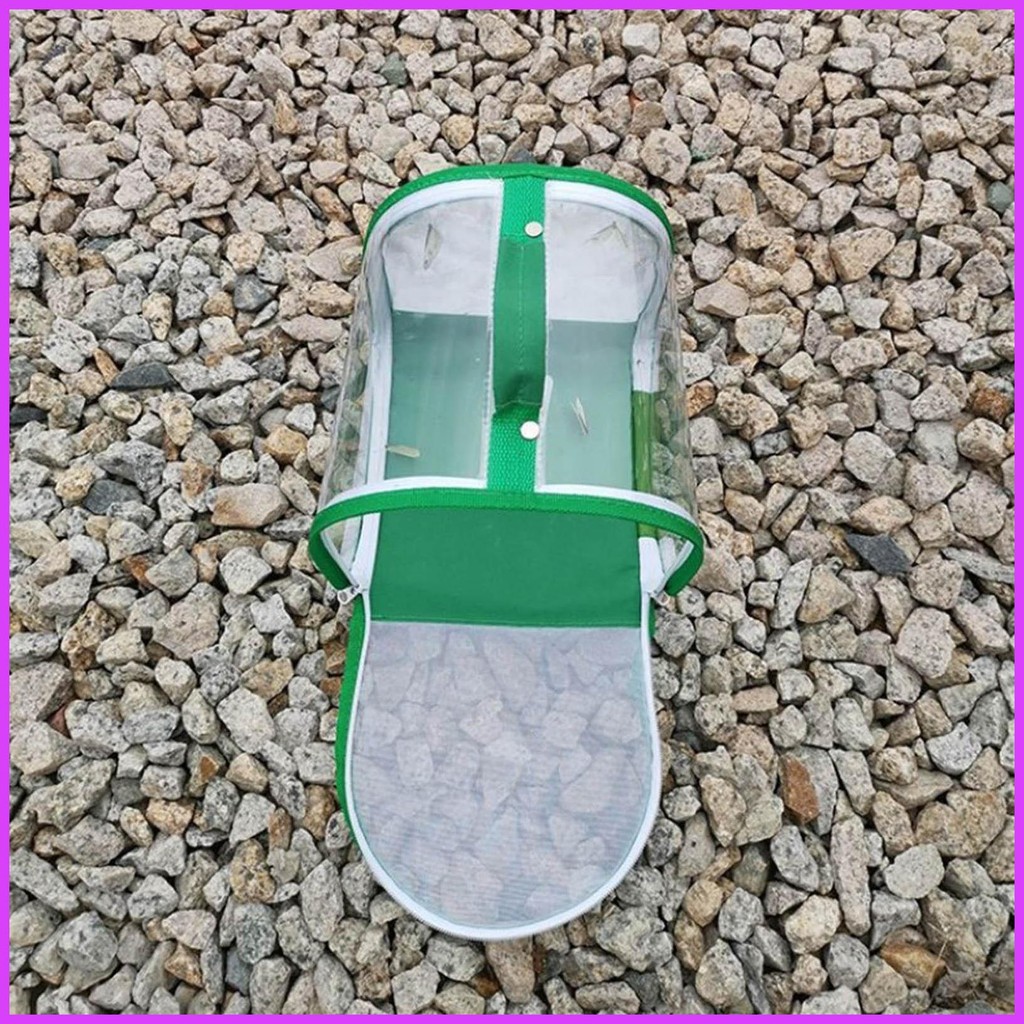 Butterfly Terrarium Clear Portable Butterfly Net Cages with Carrying ...