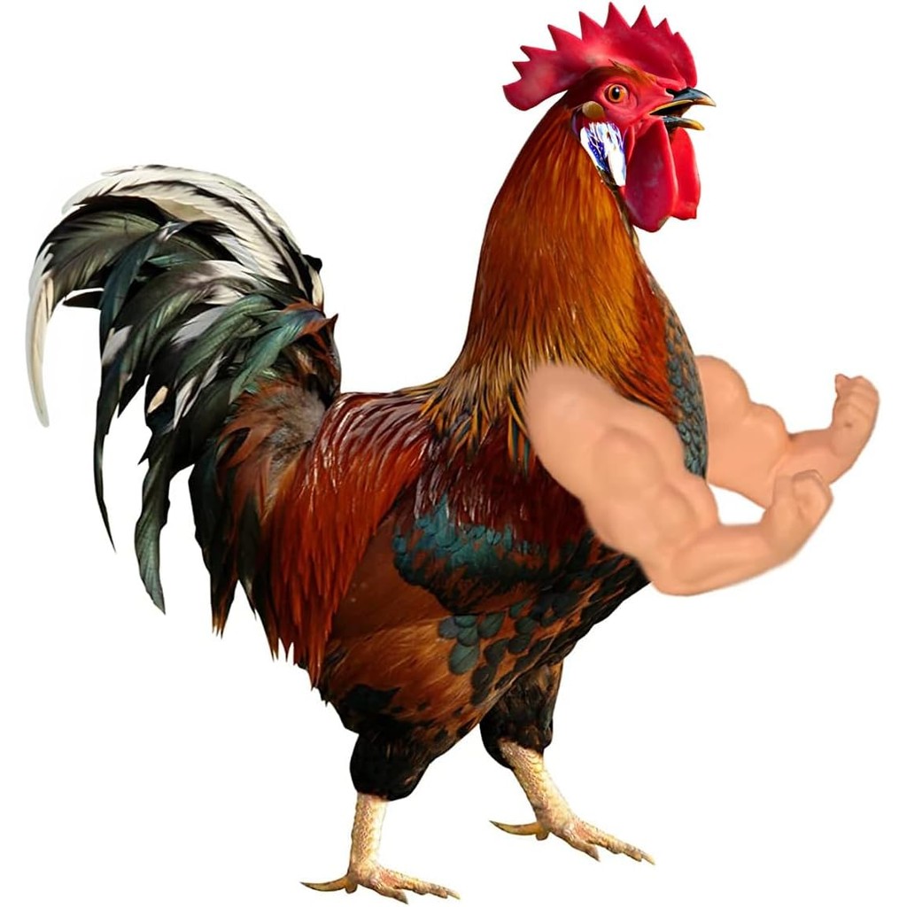 Chicken Arms for Hens – Fun, Durable, Artificial Muscle Arms Toy ...