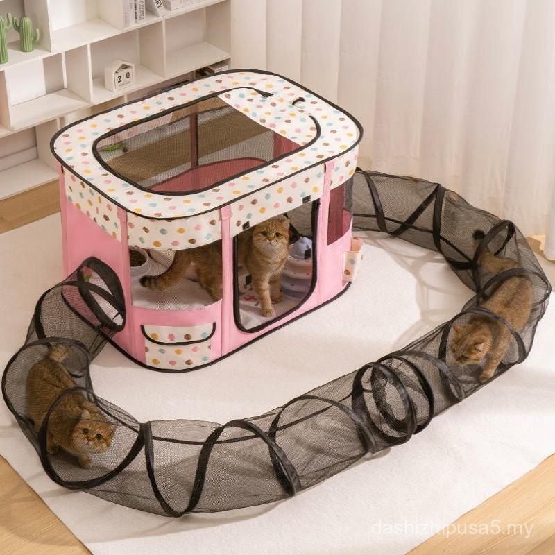 [1830 People Collection] Cat Cage Cat Delivery Room Closed Isolation ...