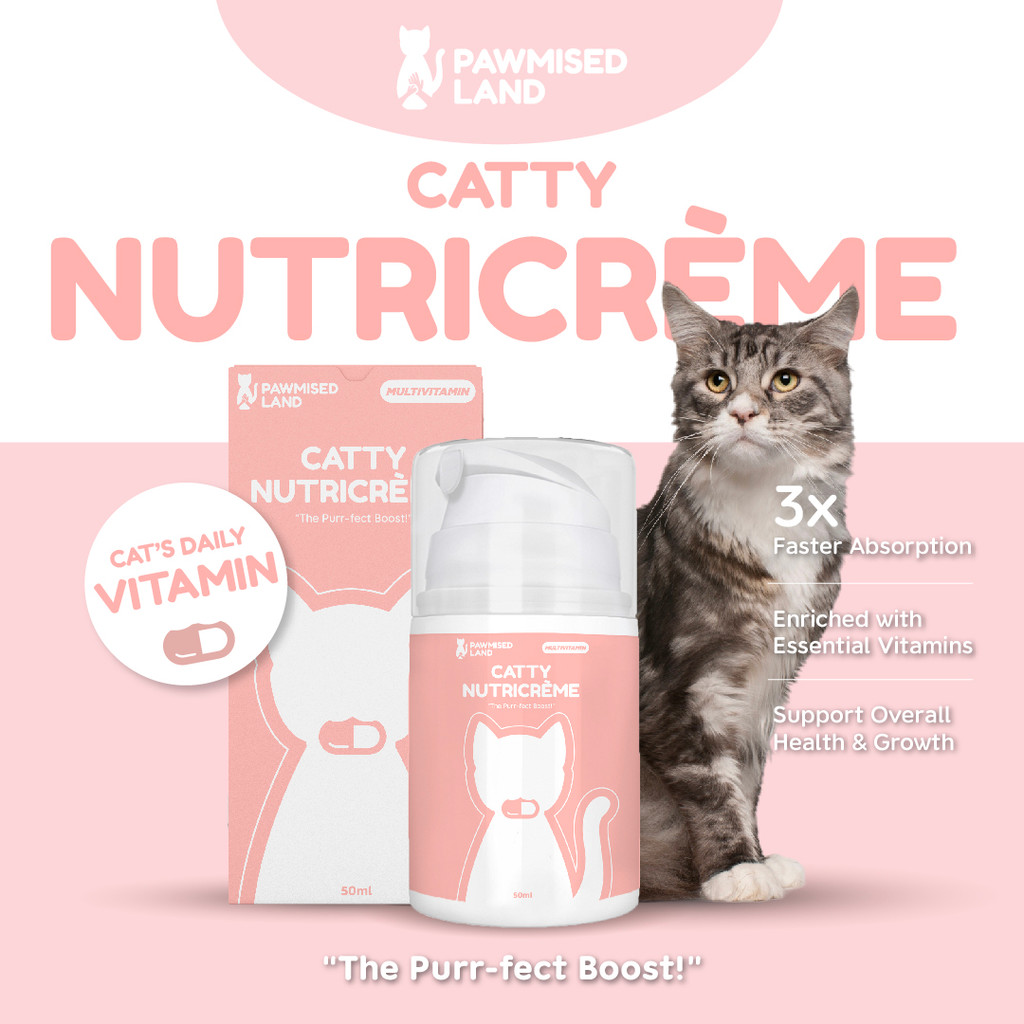 PawmisedLand Catty NutriCreme - Emulsified Multivitamin Nutrition Cats ...