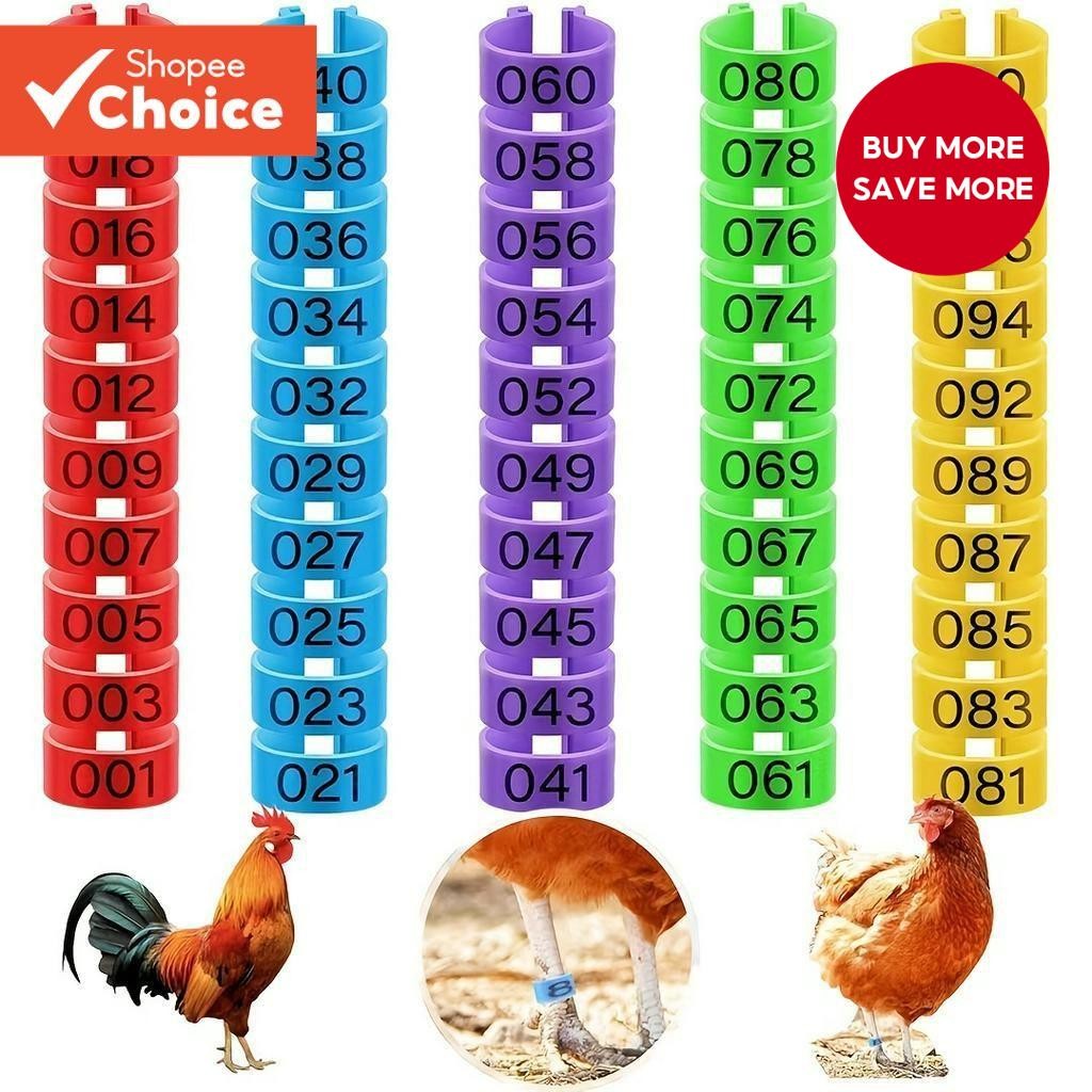 100pcs Chicken Leg Rings With 5 Colors, Chicken Leg Bands Colorful ...