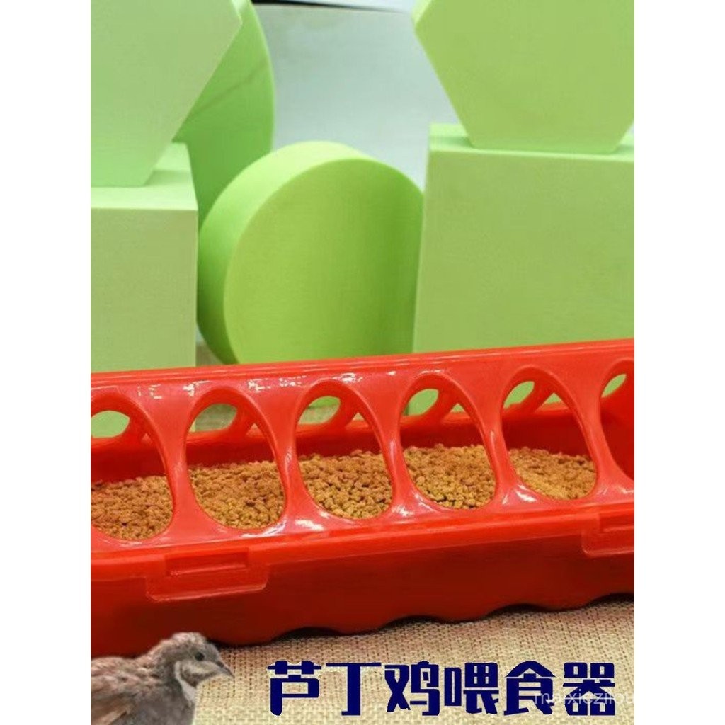 Luding Chicken Food Tank Chicken Feeding Automatic Feeder Chicken Tank ...