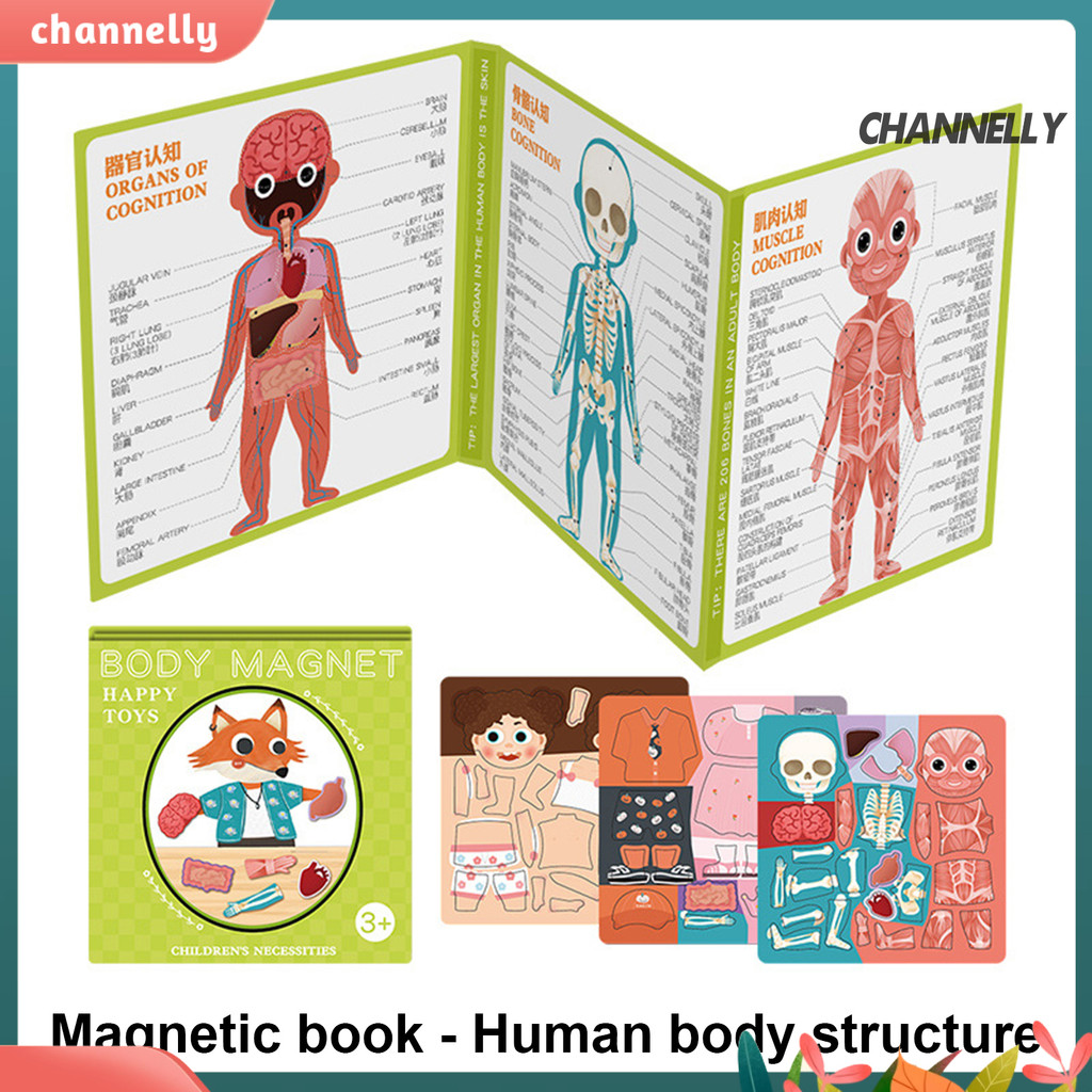 [channelly.]ic Body Structure Puzzle Book Wooden Preschool Body Parts ...