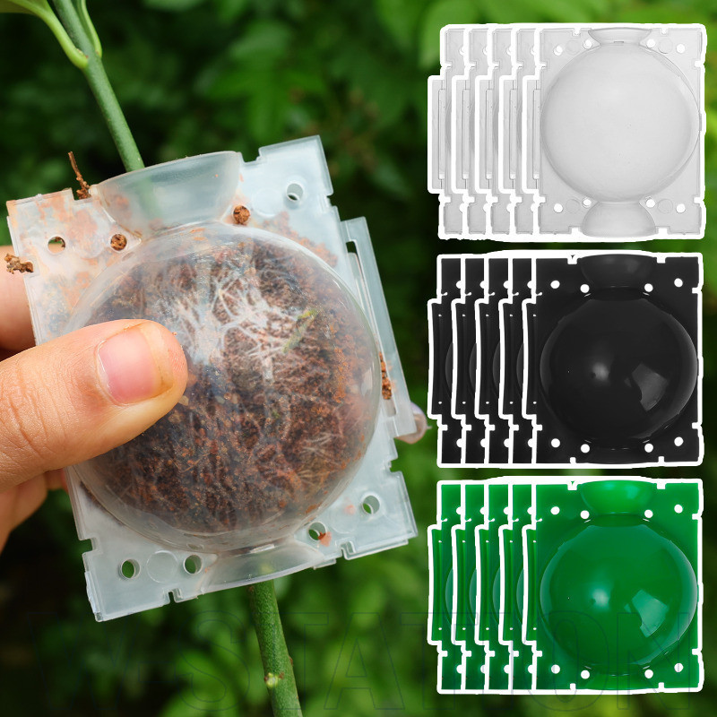 5/10/15Pcs Durable Plastic Plant Grafting Ball - Plant Rooting Grafting ...