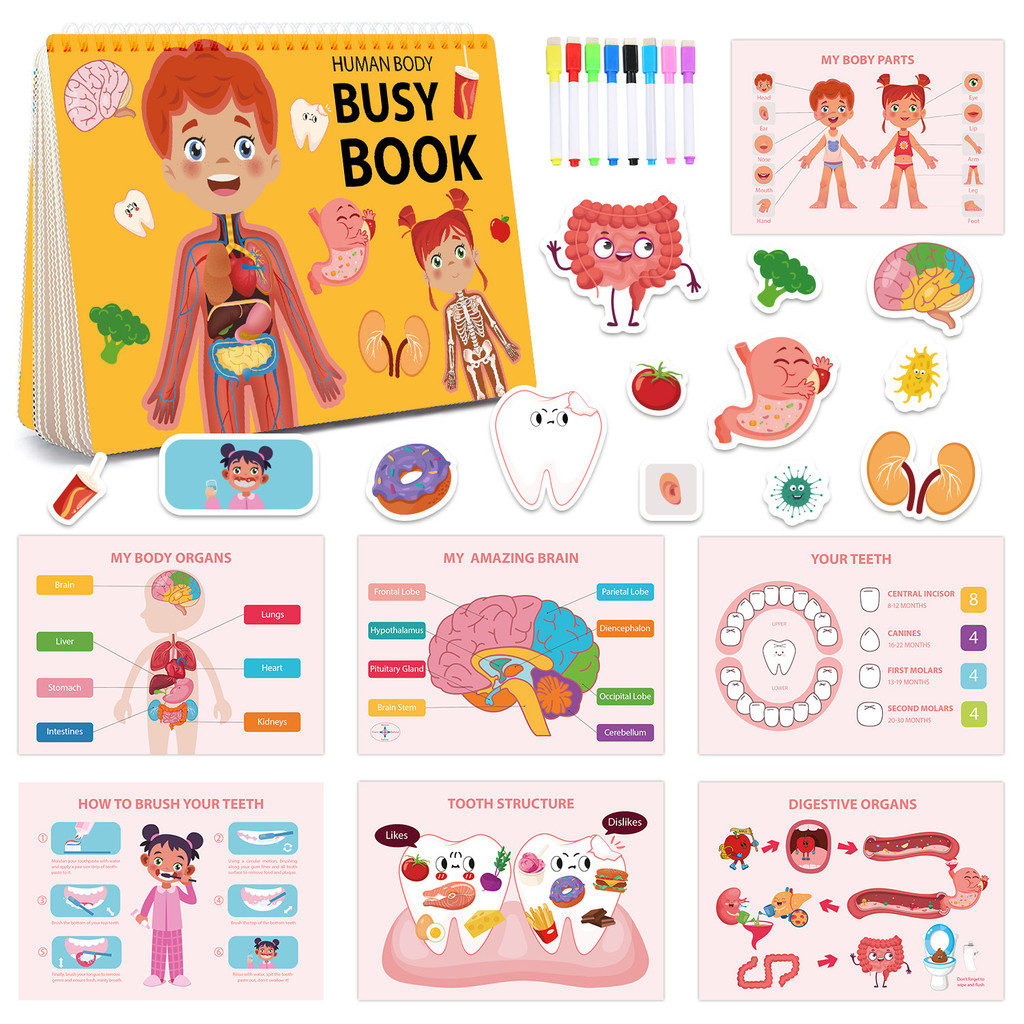 Cross-Border Children's busy book busy book Preschool Education Body ...