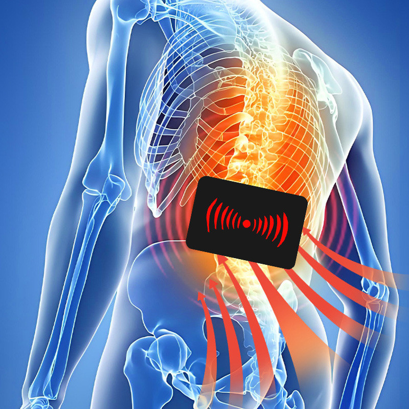 Kuda Riken Lumbar Spine Disc Type Sticker 12 Stickers/Box Lumbar Spine ...