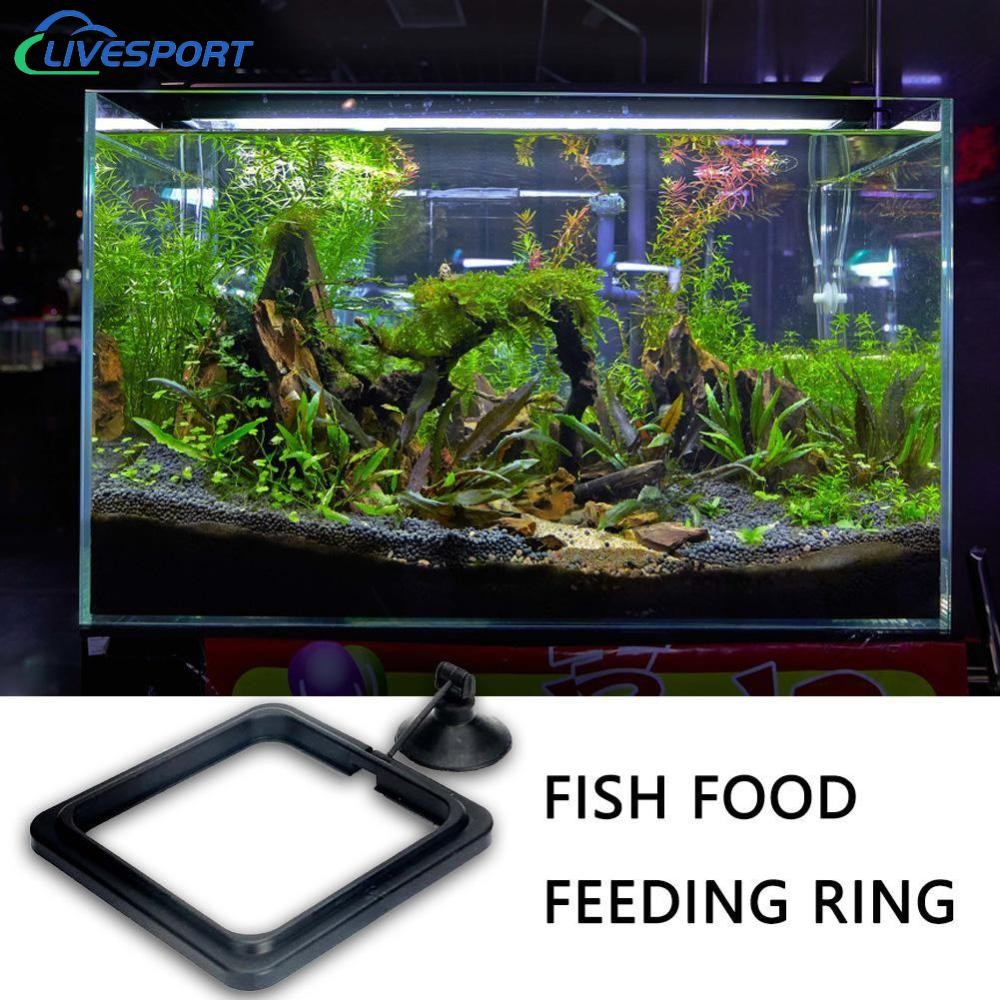 New Feeder Accessory Water Plant Aquarium Feeding Ring Square Circle ...