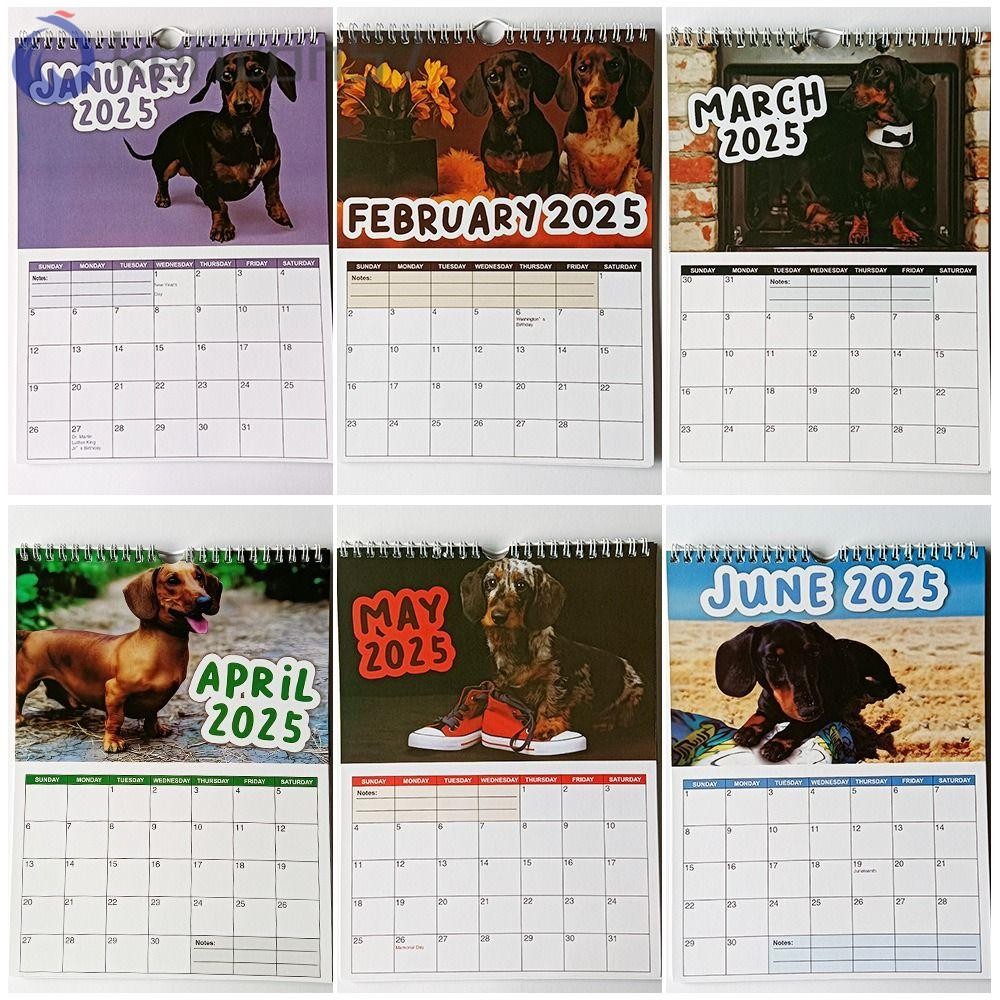 KENTON 2025 Calendar, Cute Pet Medieval Sausage Dog Themed Calendar, To ...