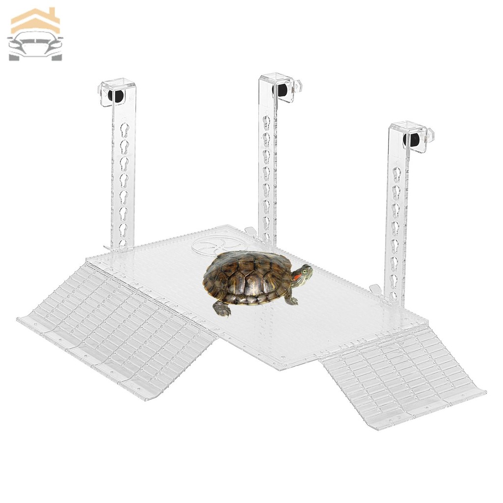 Turtle Basking Platform Acrylic Turtle Dock Basking Platform Height ...