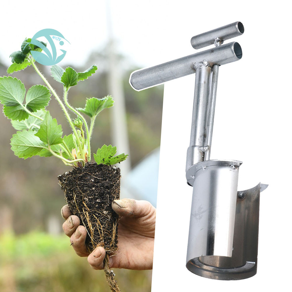 Side Port Transplanter For Seedling Efficient Transplanting Seedling ...