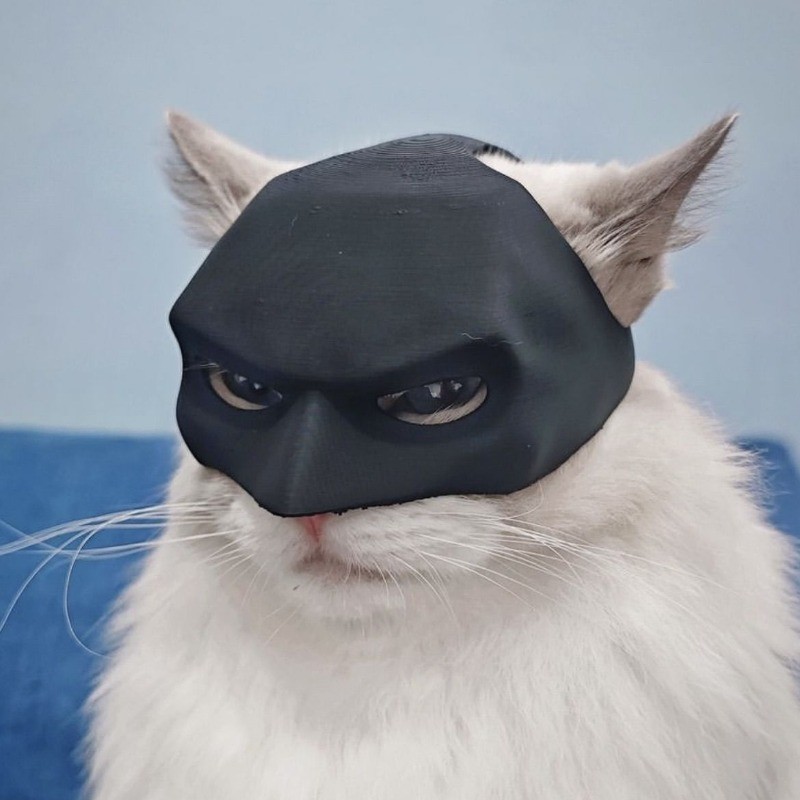 Viral Batman Cat Mask! 3D Printed Cosplay Mask, Adjustable Strap, Ins ...