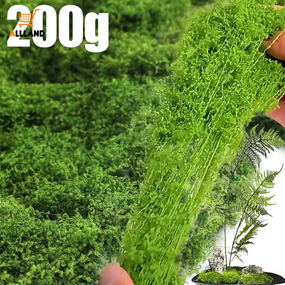 200G Fake Moss DIY Crafts Grass Artificial Moss Faux Preserved Moss ...