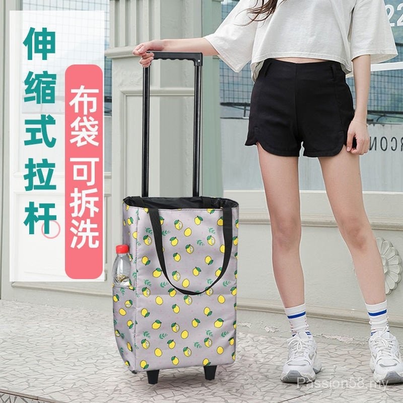 Portable Shopping Cart With Wheel Trolley Trailer Shopping Home Trolley ...