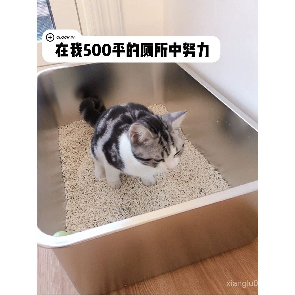 Pasu keluli tahan karat kantin, sampah kucing, dengan pemegang, periuk ... Pasu keluli tahan karat kantin, sampah kucing, dengan pemegang, periuk ...