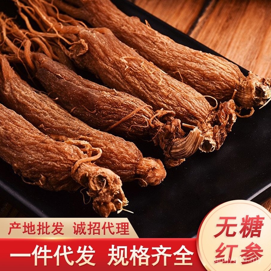 Ginseng Merah Tanpa Gula Ginseng Seluruh Gunung Changbai dari Jilin ...