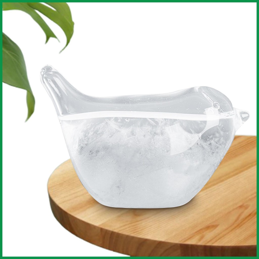 Storm Glass Weather Predictor Weather Predicting Storm Glass Bird ...
