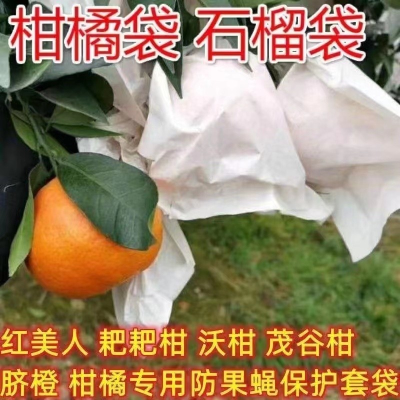 Citrus Bagging Mango Grapefruit Various Fruit Paper Bags Red Beauty ...