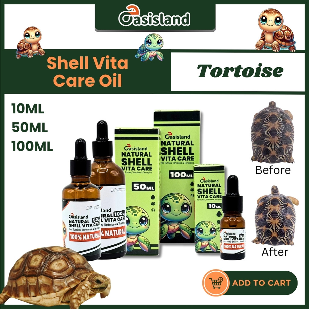 OASISLAND Tortoise Turtle Shell Oil Avoid Tortoise Turtle Shell Care ...