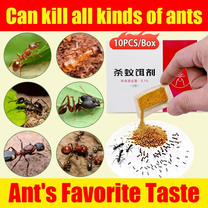 【Fast shipping】Ant powder Ant killer Ant poison Kill various ants, 10PCS/BOX, ants love to eat ...