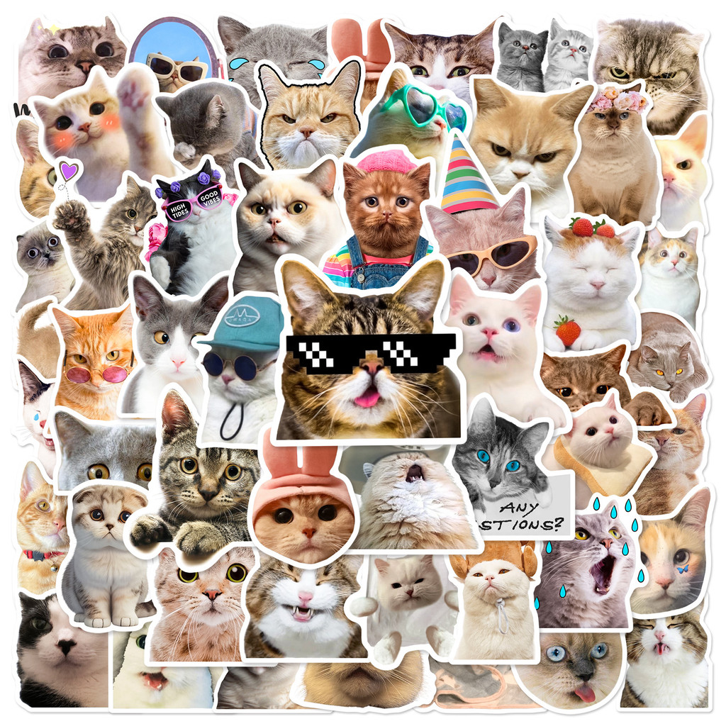 50 Pieces Cat Stickers Emoticon Pack Graffiti Stickers Waterproof ...