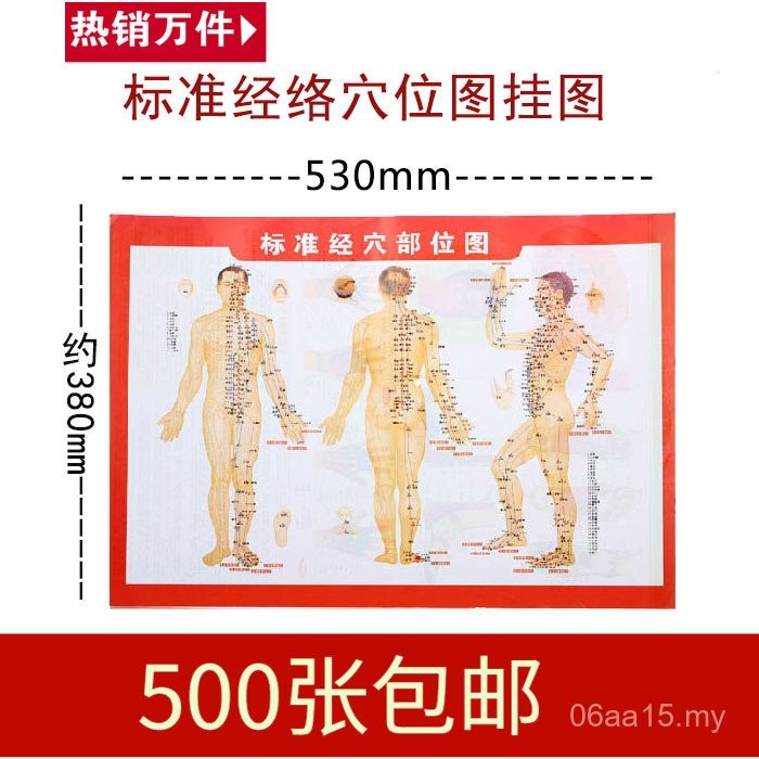 Moxibustion Traditional Chinese Medicine Human Body Acupoint Chart Large Wall Chart Human Body ...