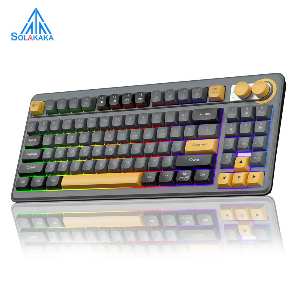 SOLAKAKA SK90 Wireless Membrane keyboard 90 Key RGB Tri-Mode Bluetooth5 ...