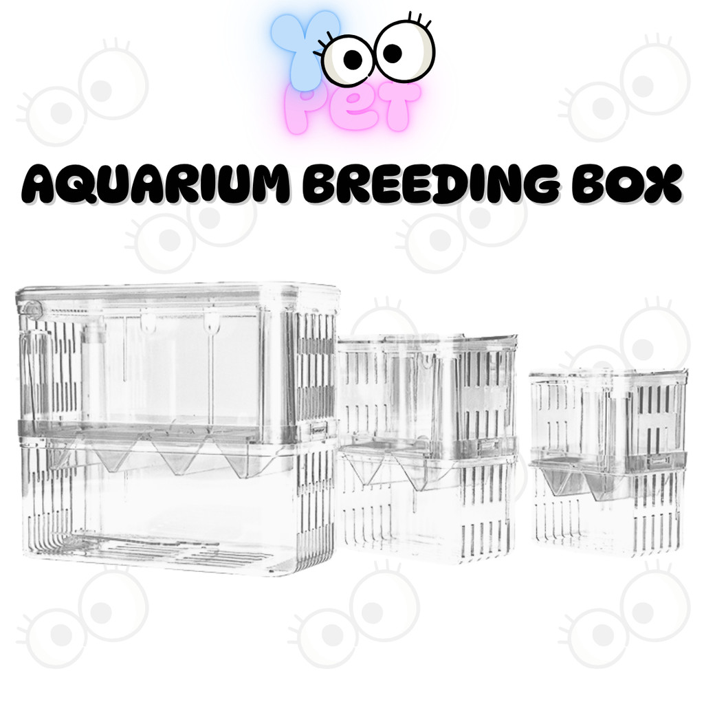 YooPet AquariumIn Fish Breeding Box Fish Isolation Breeding Hatching ...
