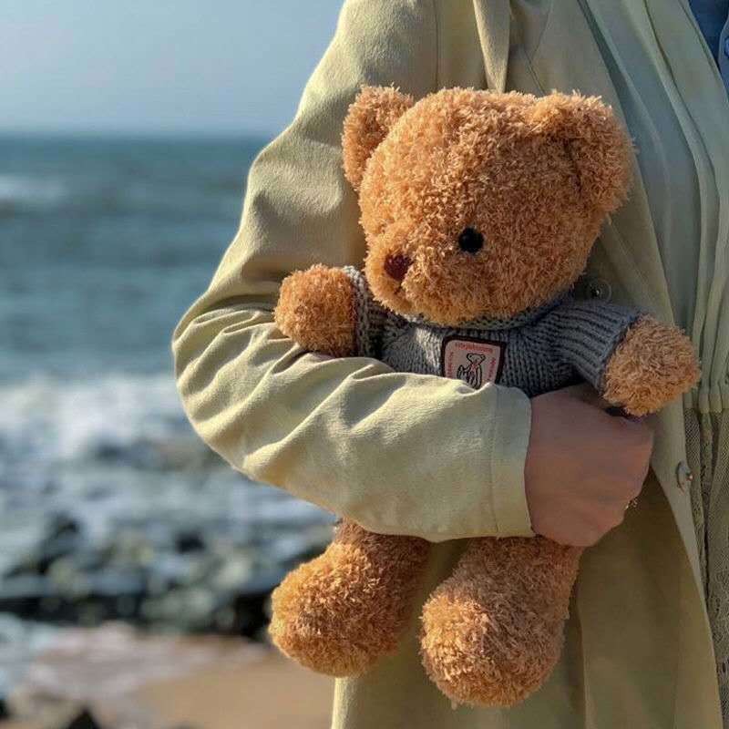 20-40cm, Teddy Bear Plush Toy, Teddy Bear Plush Toy, Cute Dressing ...
