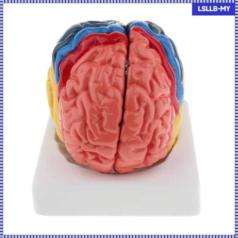 [LsllbMY] Regional - 2 Parts - Colored - Coded - Regions Include ...