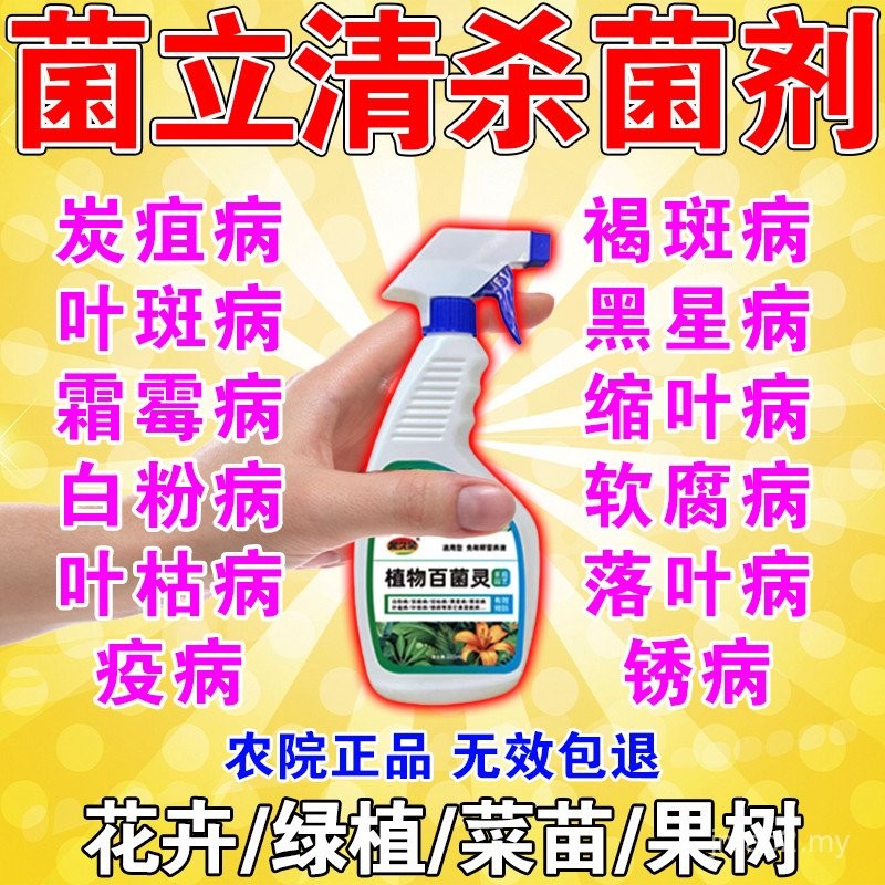 Julin Qing Bunga Kawalan Antrasikos Racun Kulat untuk Tumbuhan Hijau ...