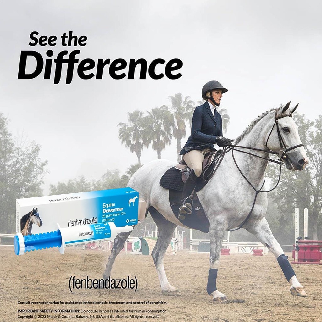 Horse Dewormer 25g Equine Health Paste Intestinal Wellness Supplement ...