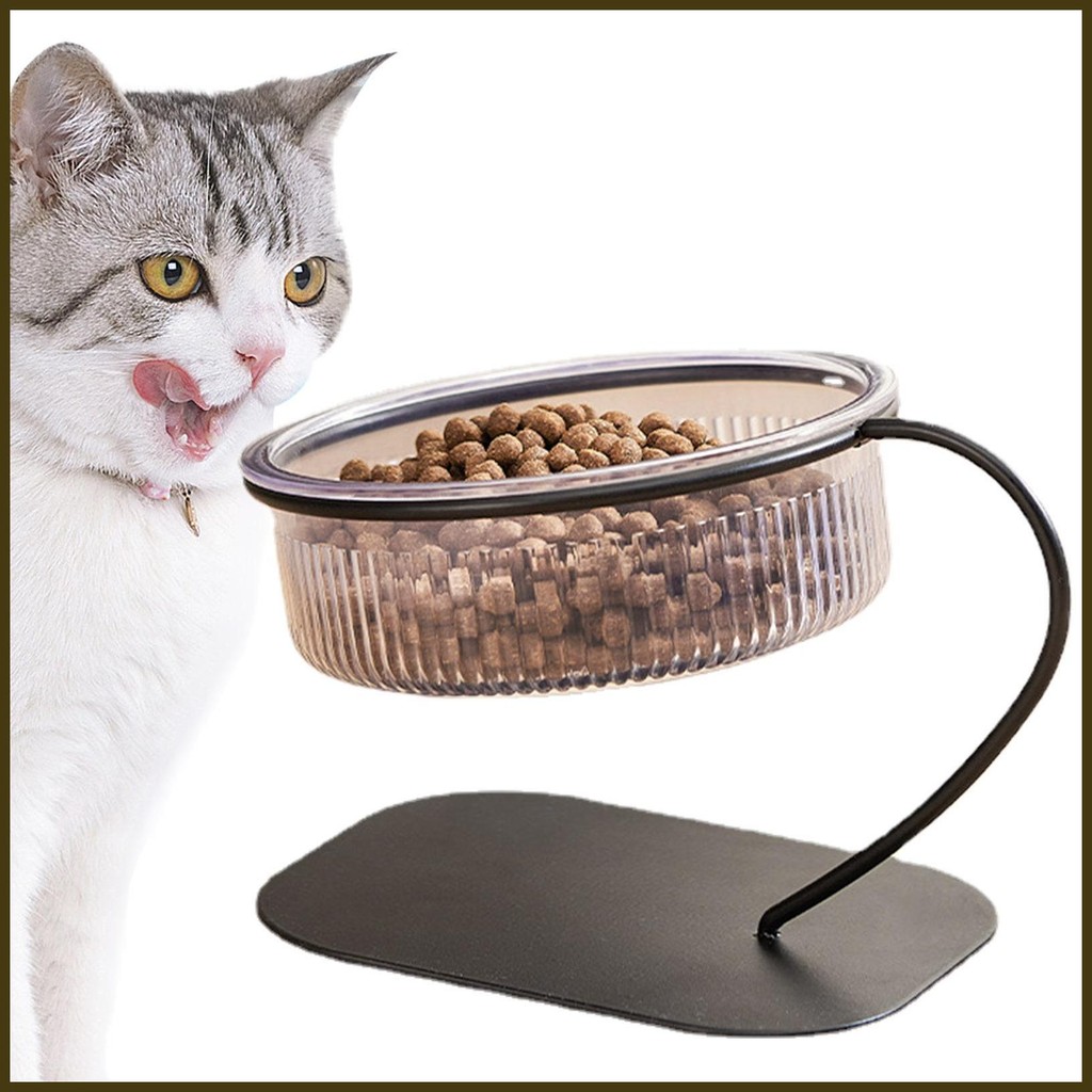 Elevated Tilted Cat Bowls Large Capacity Elevated Cat Bowl With Anti ...