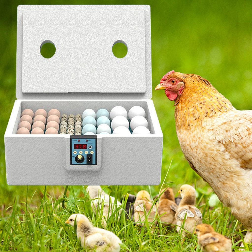 Egg Hatching Incubator 10-25 Duck Egg Incubator Intelligent Poultry ...