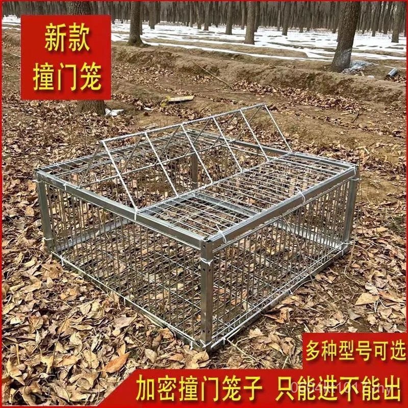 Pigeon Cage Iron Cage Active Door Automatic Door Jumping Cage Sky Roof ...