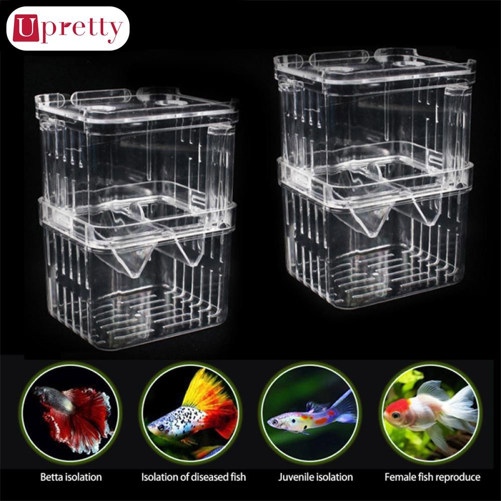 Small Fish Hatchery Boxes Extra Large Medium Isolation Boxes ...