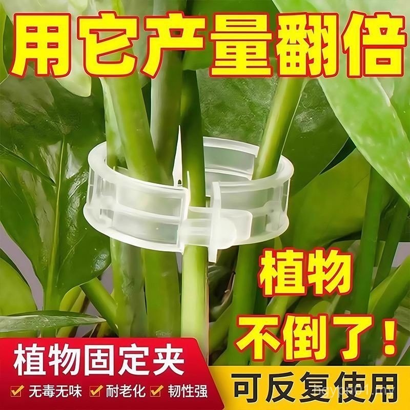 Green Plant Fruit Tree Plant Fixing Clip Buckle Vine Holder Seedling ...
