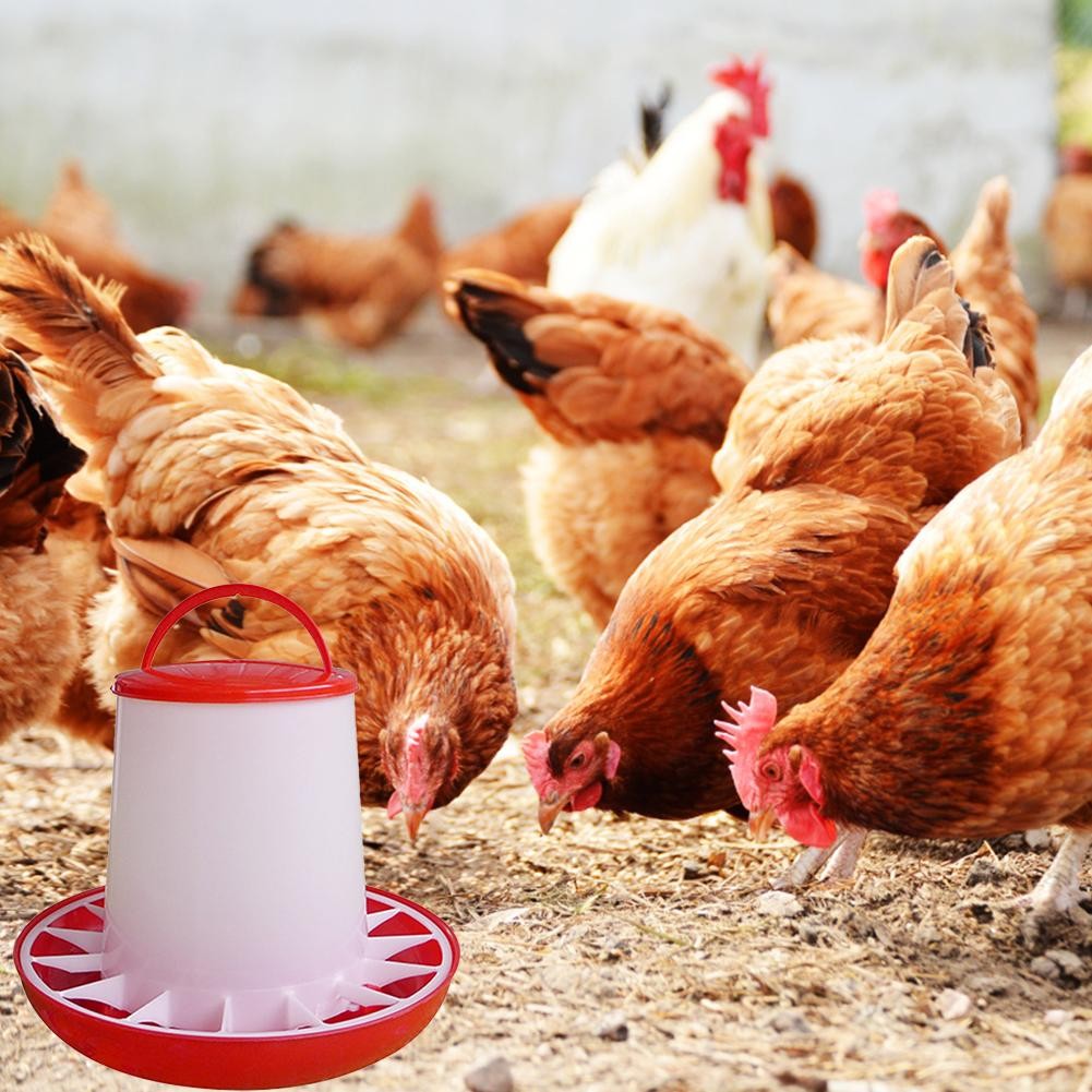 Chicken Feed Bucket Chicken Feed Trough Feed Bucket Feed Basin Farming ...